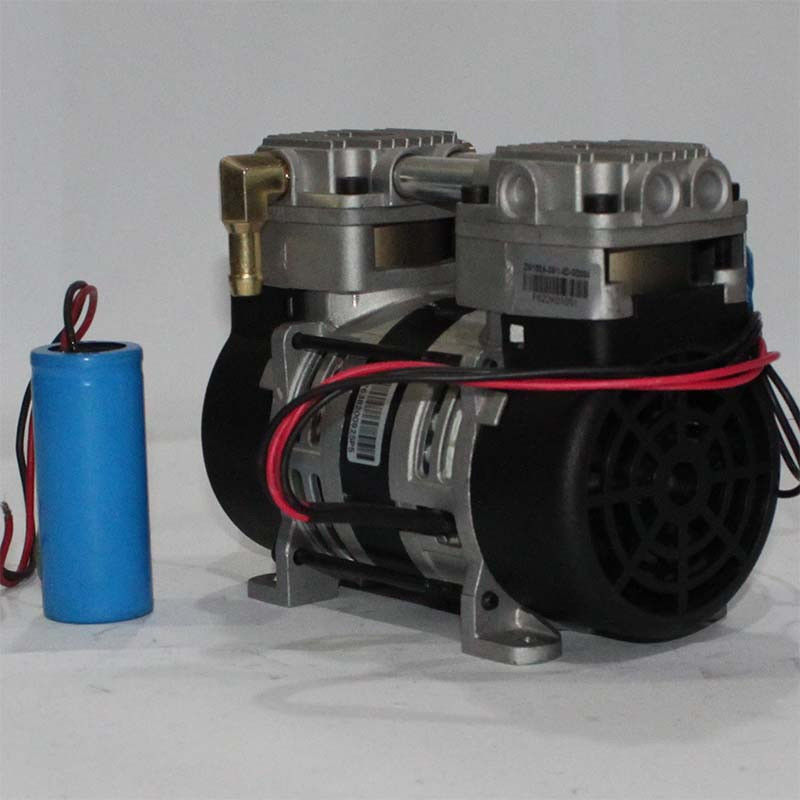 190W Oilless Air Compressor Pump GSE Compressors For Cleaning Industry ...