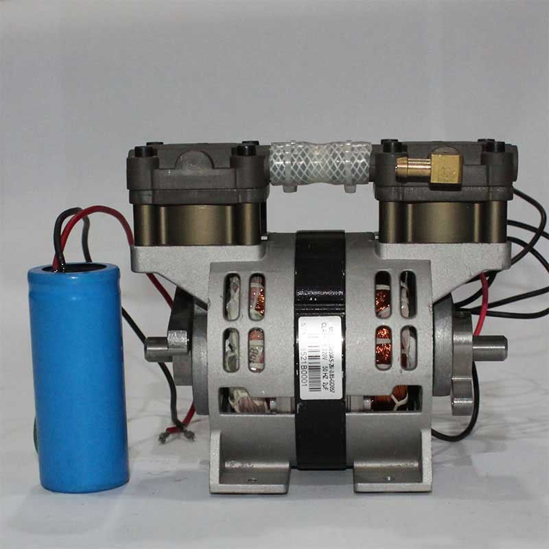 220V 50Hz Beauty Compressor GSE Oil Less Piston Vacuum Pump For Beauty ...